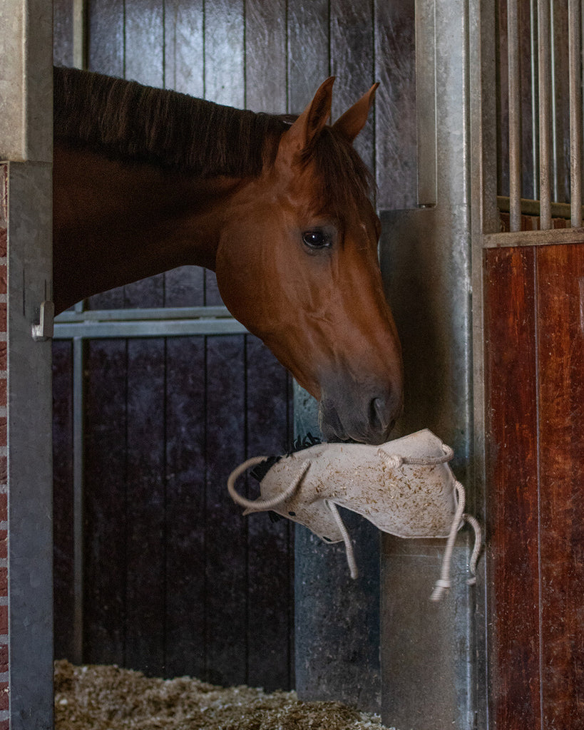 QHP Horse Toy | The Collected Pony